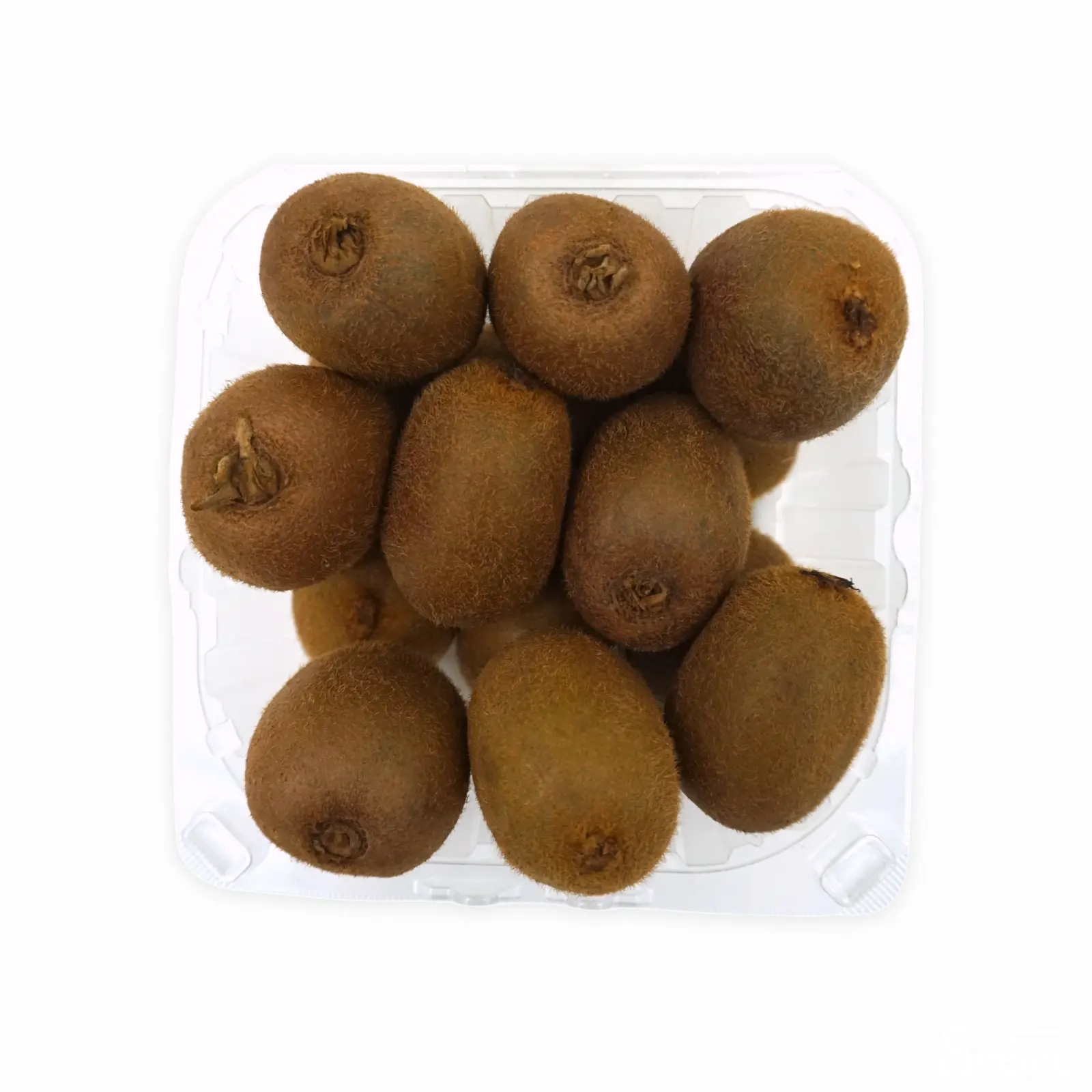 ゼスプリグリーンキウイ 1.6kg | SocToc (ソックトック) | コストコ専門ネットスーパーサービス