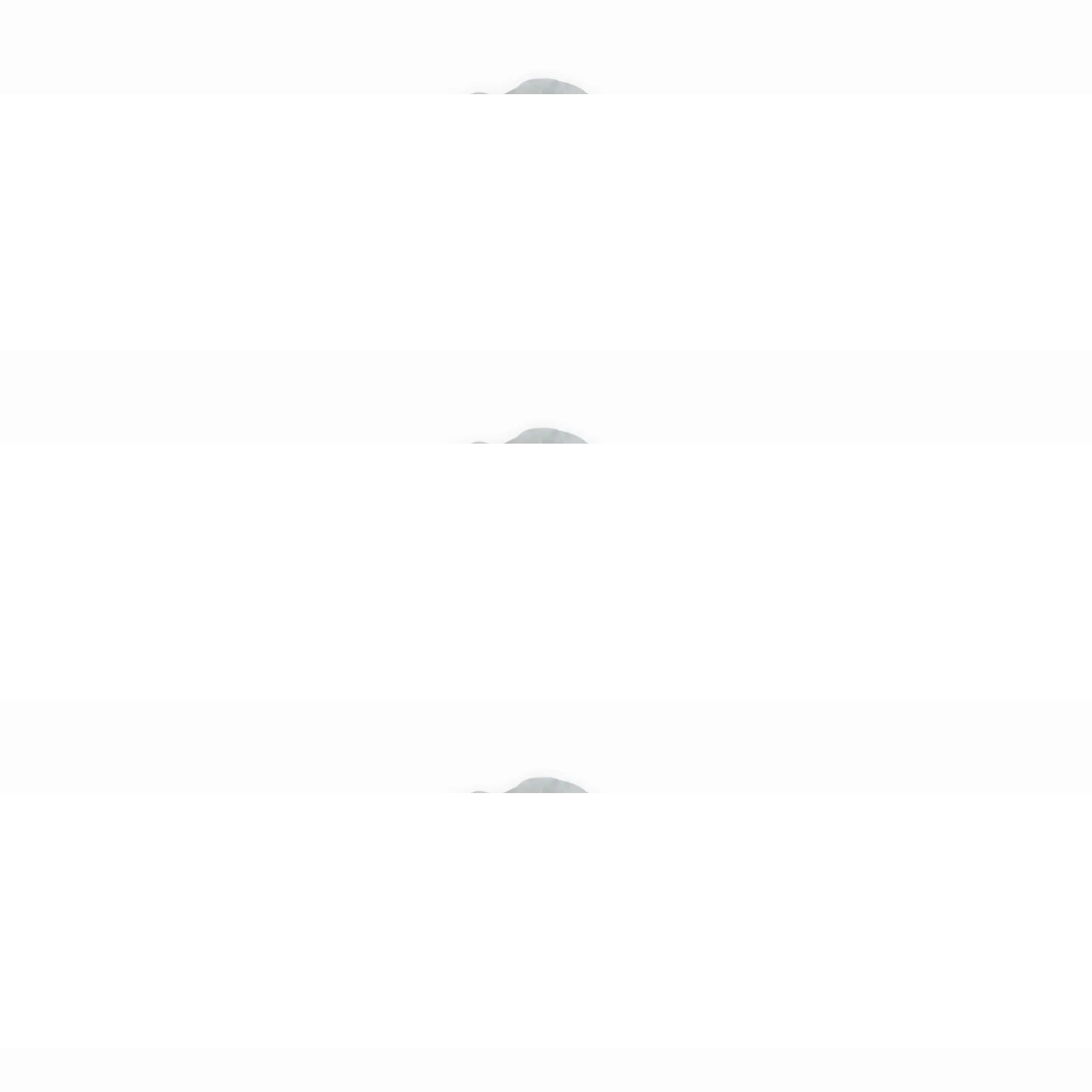 白ねぎ 800g | SocToc (ソックトック) | コストコ専門ネットスーパーサービス