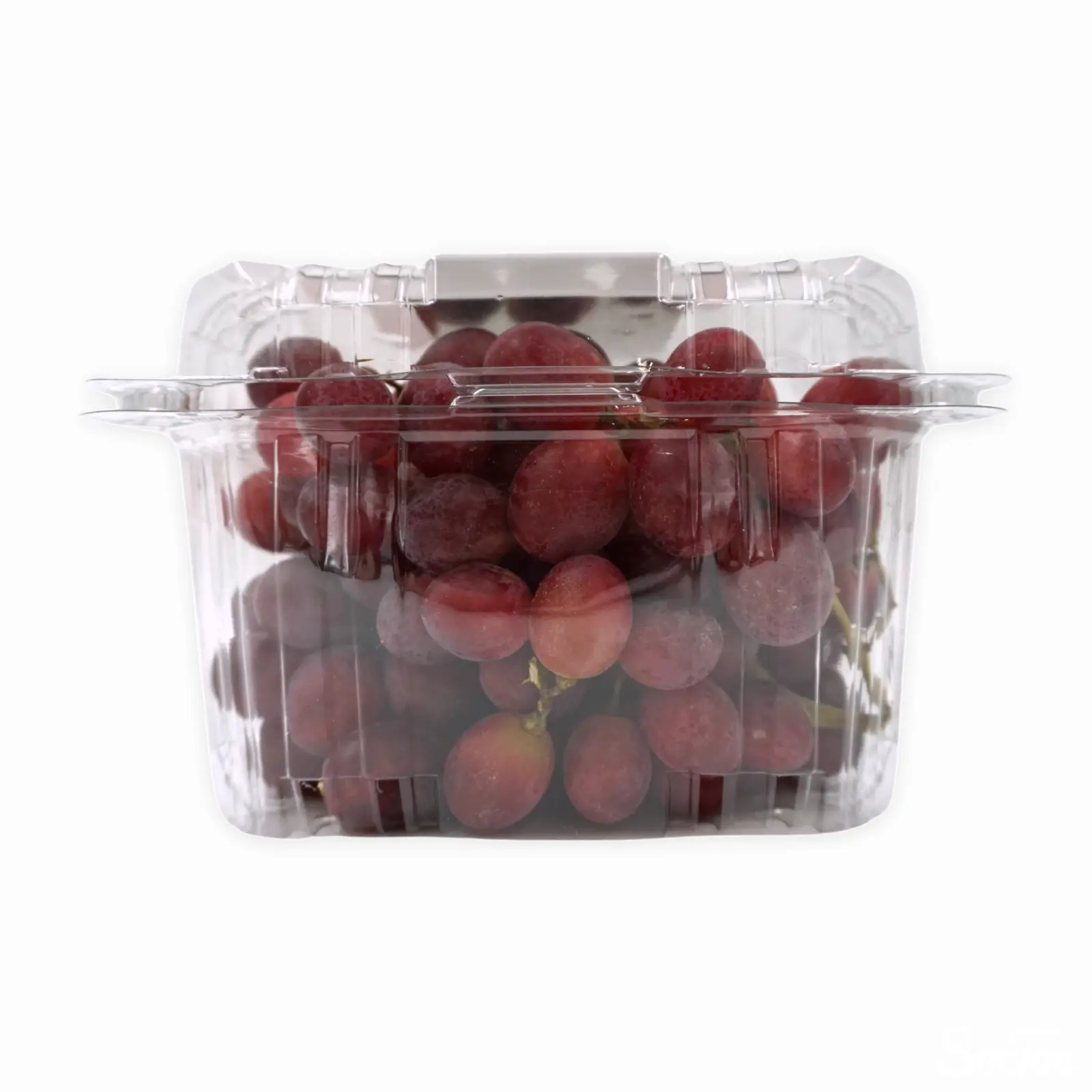 レッドシードレスグレープ 136kg 種無し チリ/ペルー産 | SocToc (ソックトック) | コストコ専門ネットスーパーサービス