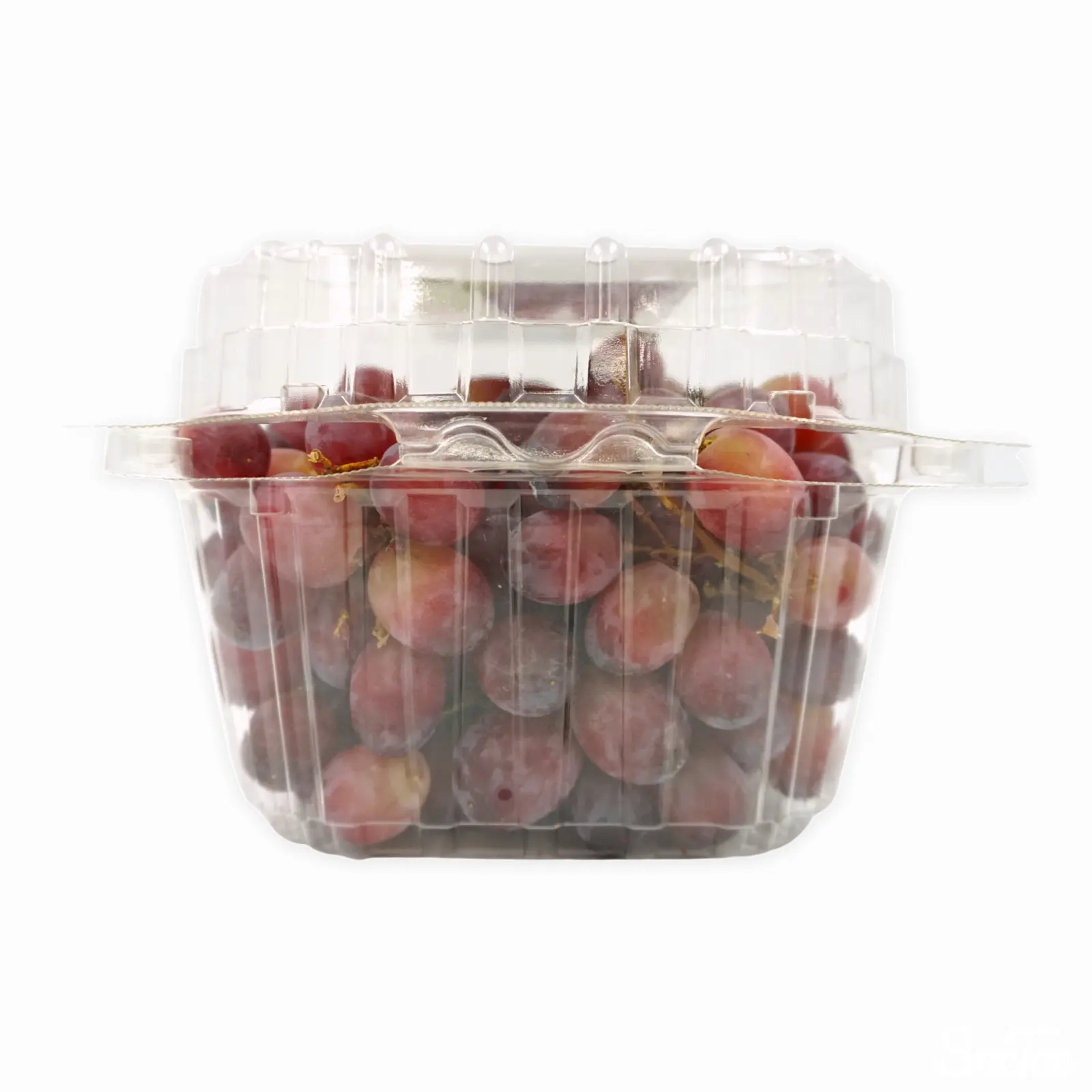 キャンディーハーツグレープ 1.36kg 種なし | SocToc (ソックトック) | コストコ専門ネットスーパーサービス